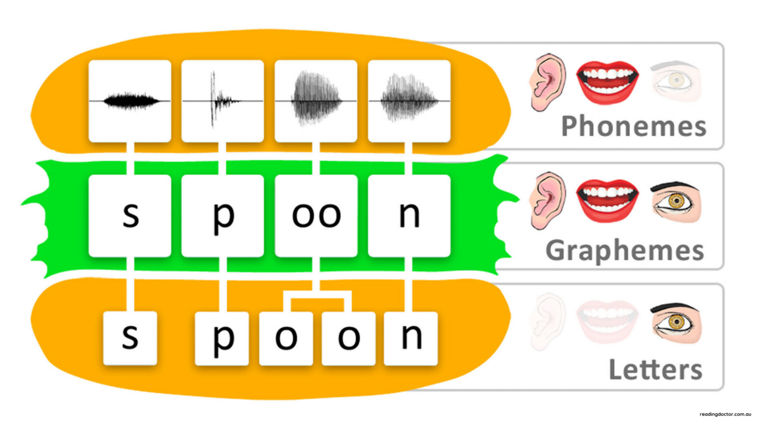 The Building Blocks of Reading: Mastering the 44 English Phonemes ...