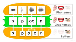 The Building Blocks of Reading: Mastering the 44 English Phonemes ...